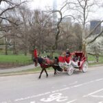 New York City: Horse Carriage Ride through Central Park - Detailed Breakdown of the Experience
