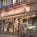 New York City Panoramic Skyline Tour - A Closer Look at the Itinerary