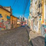 New York City : Private Street Art Walking Tour - Exploring NYC’s Street Art Scene: A Deep Dive
