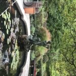 New York City: Secret Places of Central Park Walking Tour - An In-Depth Look at the Tour Itinerary and Experience