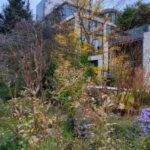 New York City: Secrets Of High Line Park Walking Tour - What to Expect