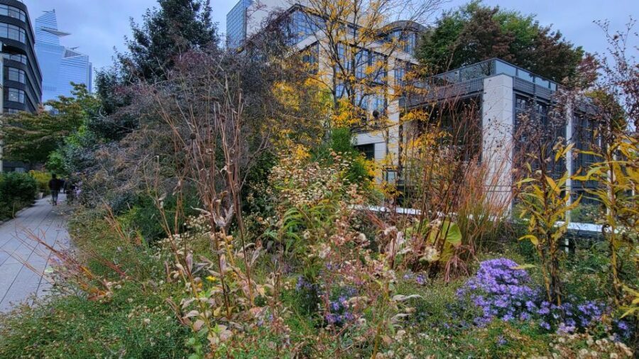 New York City: Secrets Of High Line Park Walking Tour - What to Expect