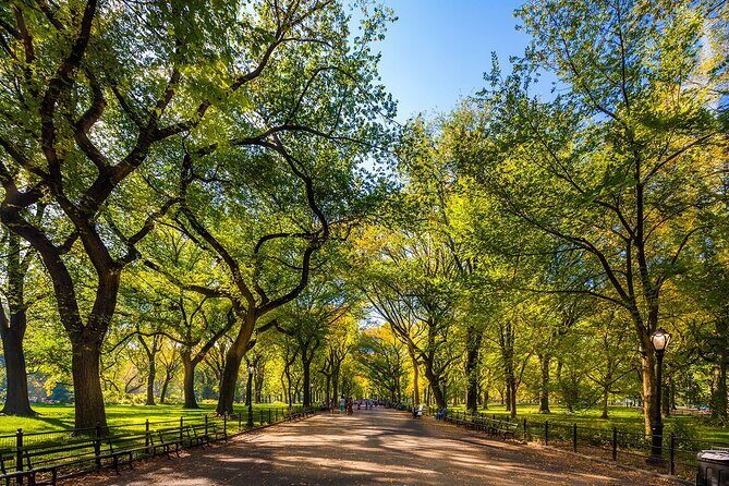 New York City with Metropolitan Museum Half Day Walking Tour - A Fresh Perspective on Manhattan’s Artistic and Outdoor Scene