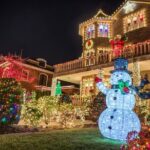 New York Dyker Heights Christmas Lights Guided Walking Tour - Analyzing the Value and Price