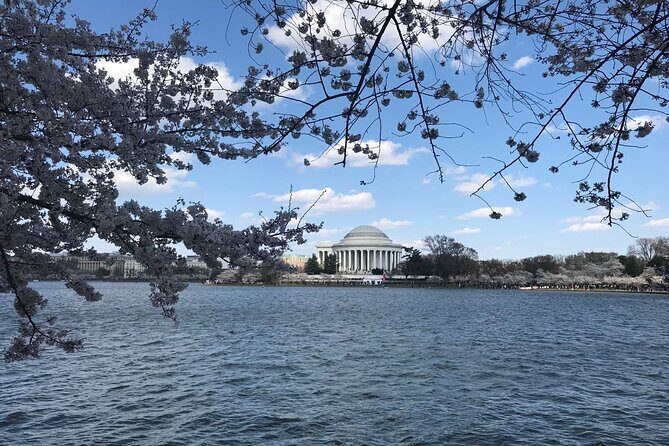 New York to Washington D.C. Spring Cherry Blossom Full-Day Tour - What Makes This Tour Stand Out