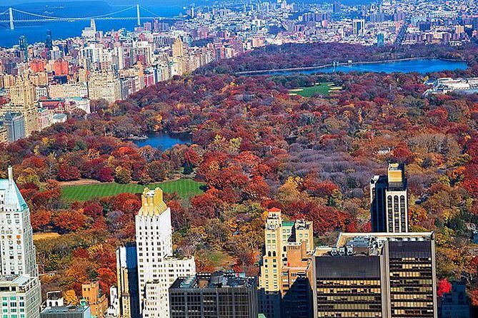 New York Tour by Subway and Bus with Private Guide - Why This Tour Works Best