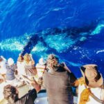 Newport Beach: 2-Hour Whale Watching Tour - The Itinerary: What to Expect on Your Whale Watching Adventure