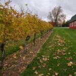 Niagara County Wine Tour and Tasting - What’s Included and What’s Not