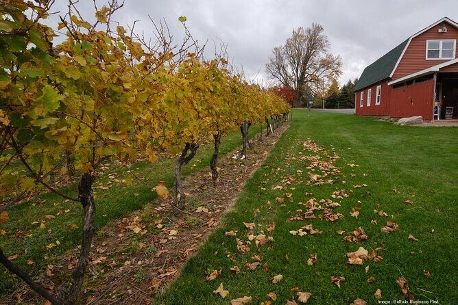Niagara County Wine Tour and Tasting - What’s Included and What’s Not
