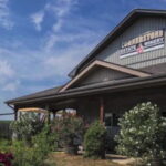 Niagara Falls: Public Niagara Wine Tour with Transportation - Value and Practical Tips