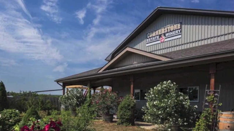 Niagara Falls: Public Niagara Wine Tour with Transportation - Value and Practical Tips