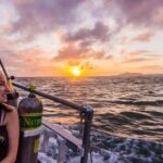 Night Dive Adventure in Oahu - What to Expect from This Night Dive Adventure