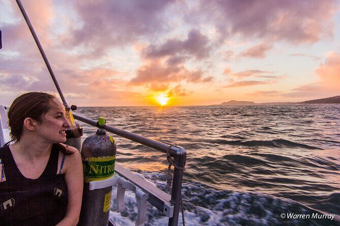 Night Dive Adventure in Oahu - What to Expect from This Night Dive Adventure