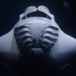Night Manta Ray Snorkel with Videos - What’s Included and What’s Not
