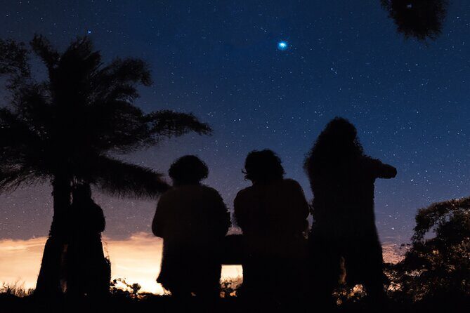 Night Sky Stargazing Tour in Punta Gorda Florida - Authentic Feedback from Participants