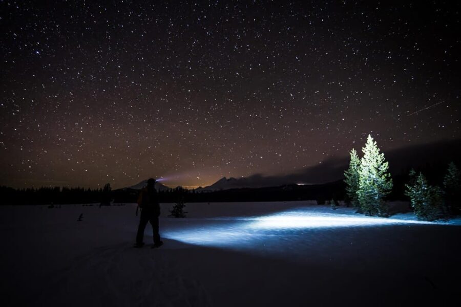 Night Snowshoeing Lapland Experience - Who Is This Tour Best For?
