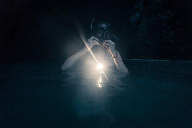 Night-Time Snorkel at TurtleTown with Stars, Lights, and Photos - The Value of the Experience