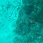 Night Tour Glass Bottom Boat in Islamorada - Frequently Asked Questions (FAQ)