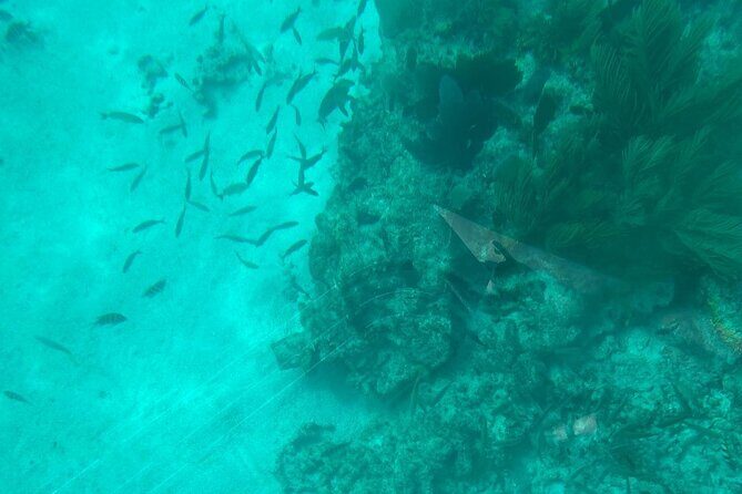 Night Tour Glass Bottom Boat in Islamorada - Frequently Asked Questions (FAQ)