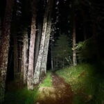 Night view of Sofia, mountain hiking tour to Kamen del Peak. - Discovering Sofia from Above: Night View & Mountain Hike to Kamen del Peak