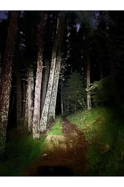 Night view of Sofia, mountain hiking tour to Kamen del Peak. - Discovering Sofia from Above: Night View & Mountain Hike to Kamen del Peak