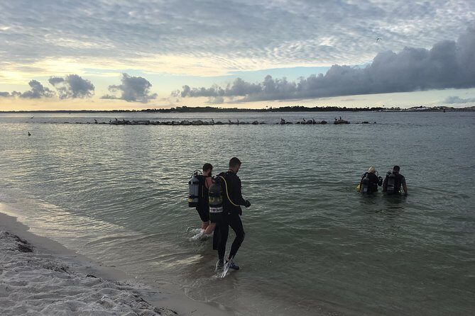 No Experience Required to Discover Scuba in Florida - Who Should Consider This Tour?