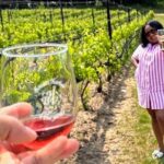 NON BUS Traverse City Old Mission Sunset Wine & Distillery Tour - The Authenticity and Overall Experience