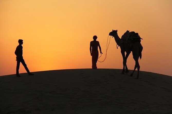 Non Touristic Half Day Camel Safari Thar Desert Sunset - Logistics, Value, and Authenticity