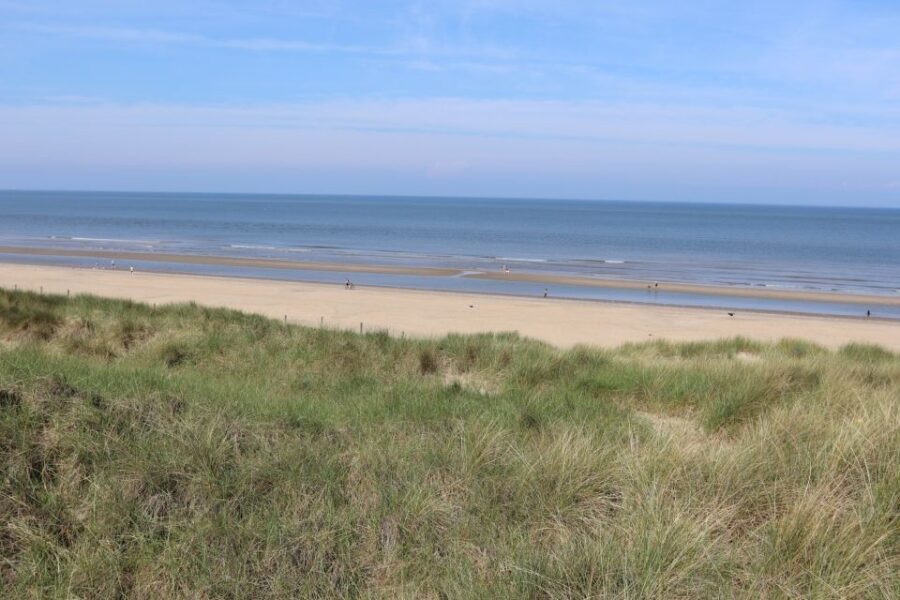 Noordwijk: Beach and Dunes Bike Tour - How This Tour Represents Value