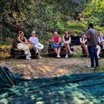 North Corfu Olive Tour With Olive oil Tasting & Meze - The Journey through Corfu’s Olive Landscape