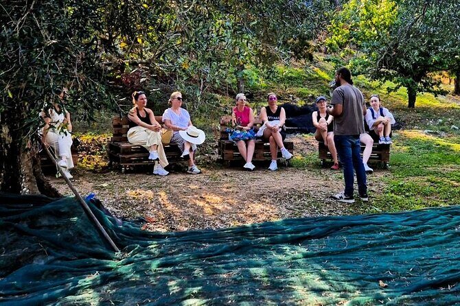 North Corfu Olive Tour With Olive oil Tasting & Meze - The Journey through Corfu’s Olive Landscape