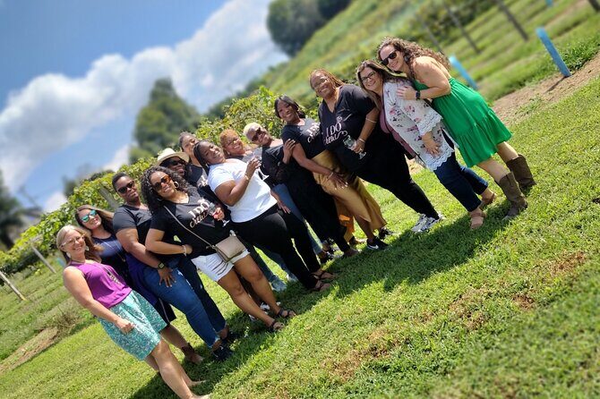 North Georgia Mountains Three Vineyard Wine Tasting Tour - Authentic Experiences & What Travelers Love