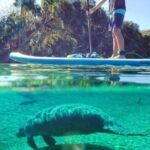 North Miami: Nature & Island Exploration on SUP/Kayak - Who Will Love This Tour?