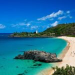 North Shore Adventure Shuttle - Dole Plantation and Sweet Treats