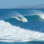 North Shore Oahu Snorkeling Tour - North Shore Oahu Snorkeling Tour: An Authentic Marine Adventure