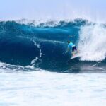 North Shore of Oahu Private Full-Day Tour with Local Guide - The Sum Up