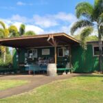 North Shore's best day! River, Turtles, Farm with Lunch - Experiences Delivering Real Value