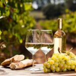 Northern Arizona Private Wine Tour south of Sedona - Verde Valley Wineries - An In-Depth Look at the Itinerary