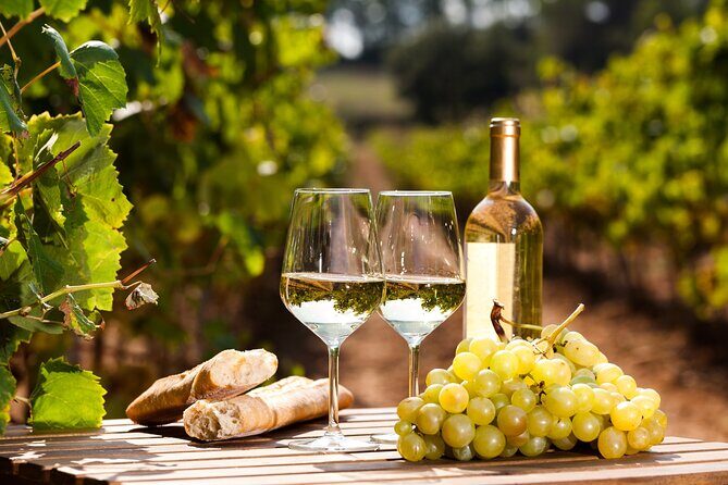 Northern Arizona Private Wine Tour south of Sedona - Verde Valley Wineries - An In-Depth Look at the Itinerary