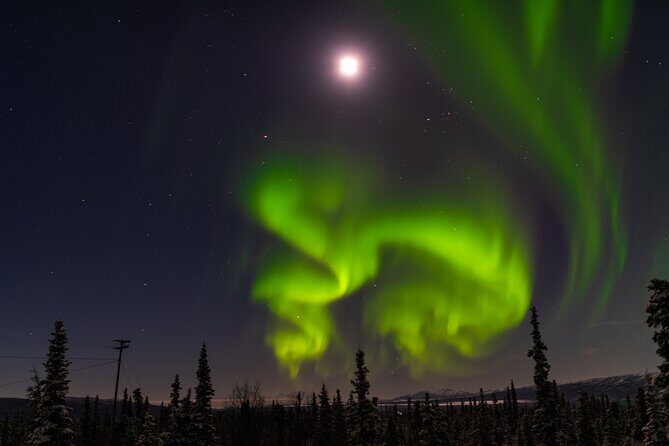 Northern Lights Adventure of a Liftetime from Anchorage - The Sum Up: Is It Worth It?