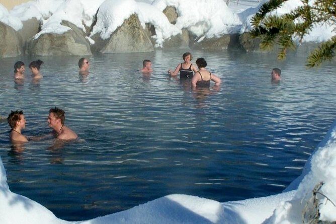 Northern Lights and Chena Hot Springs Tour from Fairbanks - Detailed Breakdown of the Experience