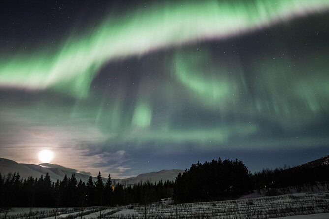 Northern Lights Classic Tour from Akureyri - The Itinerary: What to Expect