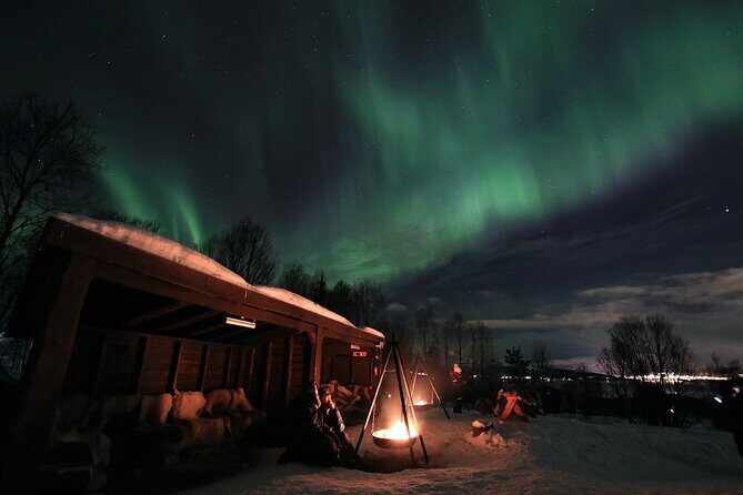 Northern Lights Husky Visit - Practical Details and Considerations
