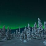 Northern Lights Snowmobile Safari from Rovaniemi with Campfire Picnic - Considerations and Practical Tips