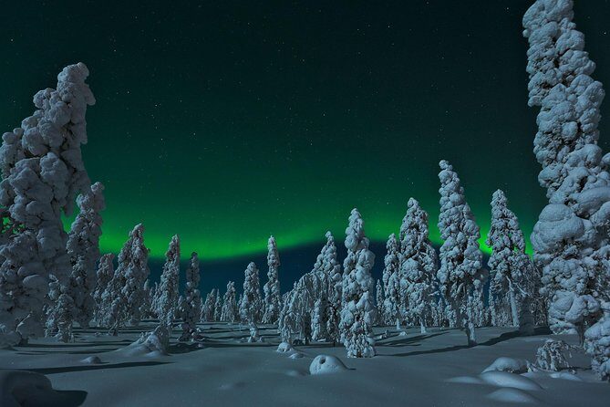Northern Lights Snowmobile Safari from Rovaniemi with Campfire Picnic - Considerations and Practical Tips