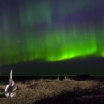 Northern Lights Tour from Reykjavik with Lifetime Guarantee - Practical Tips for Your Northern Lights Tour