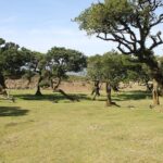 NorthWest Landscapes, UNESCO & volcanic pools 4x4 experience - Final Thoughts