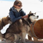 Norway: Husky Camp Visit on top of Folgefonna Glacier - Practical Details and Tips