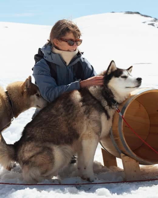 Norway: Husky Camp Visit on top of Folgefonna Glacier - Practical Details and Tips