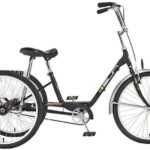 NYC Adult Tricycle Rental - A Closer Look at the Itinerary and Highlights